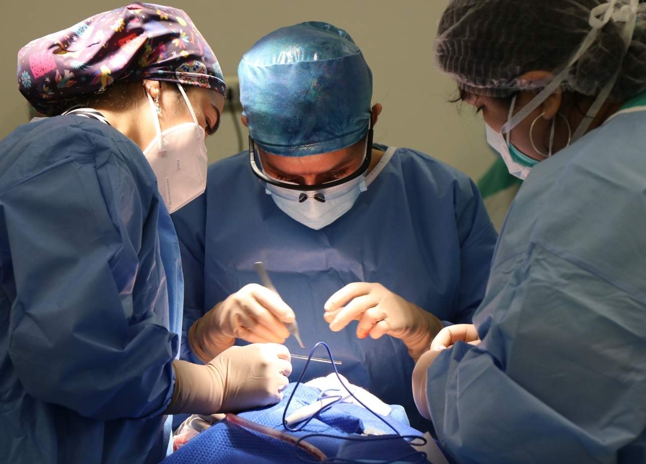 Aftercare Pediatric Post Cochlear Implant Surgery – The Butterfly Pig